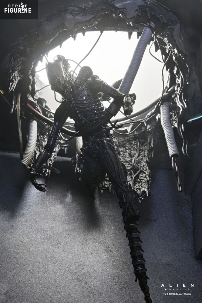 Suspended Lab Xenomorph XX121 figure, Deluxe - Alien: Romulus - NECA